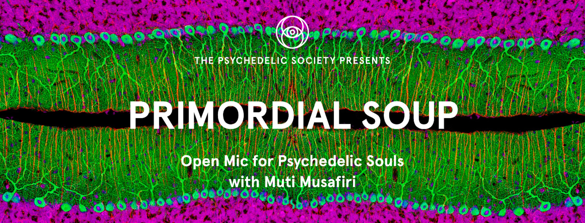 Primordial Soup: Open Mic for Psychedelic Souls · Dandelion