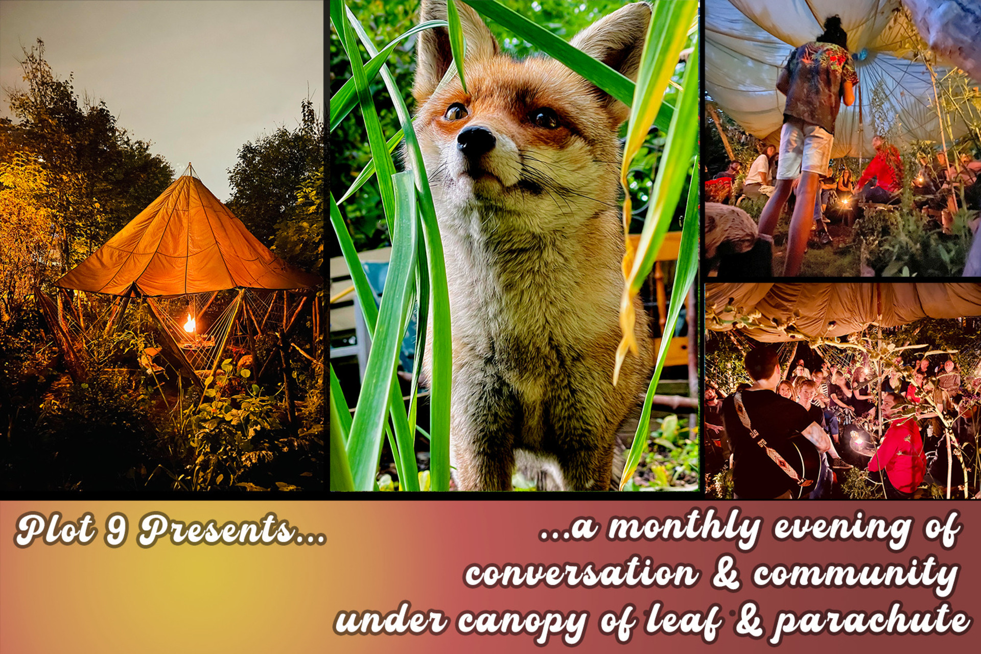 Plot 9 Presents... (#3) · Dandelion