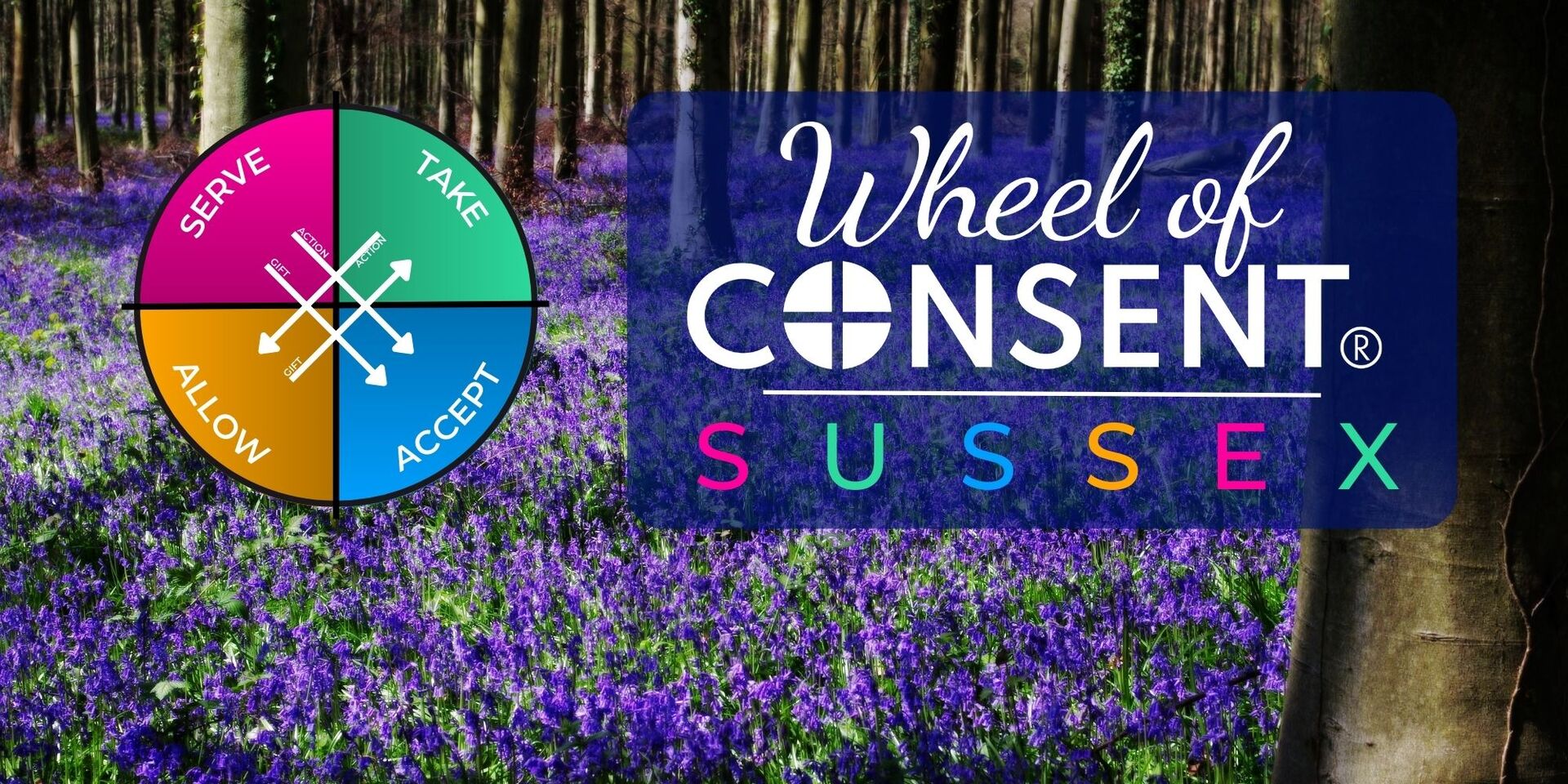 Wheel Of Consent Workshop · Dandelion