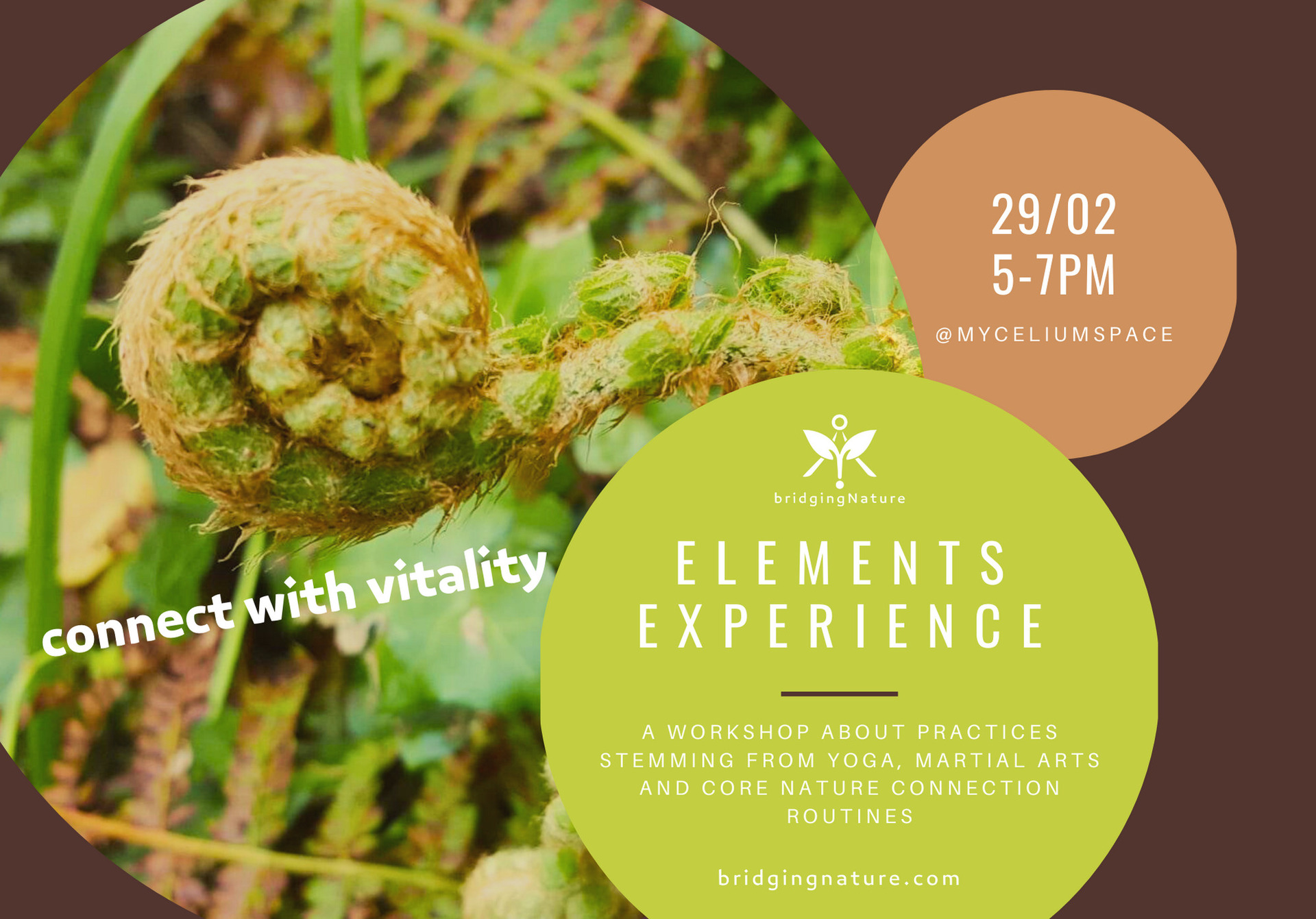 Elements Experience Workshop · Dandelion