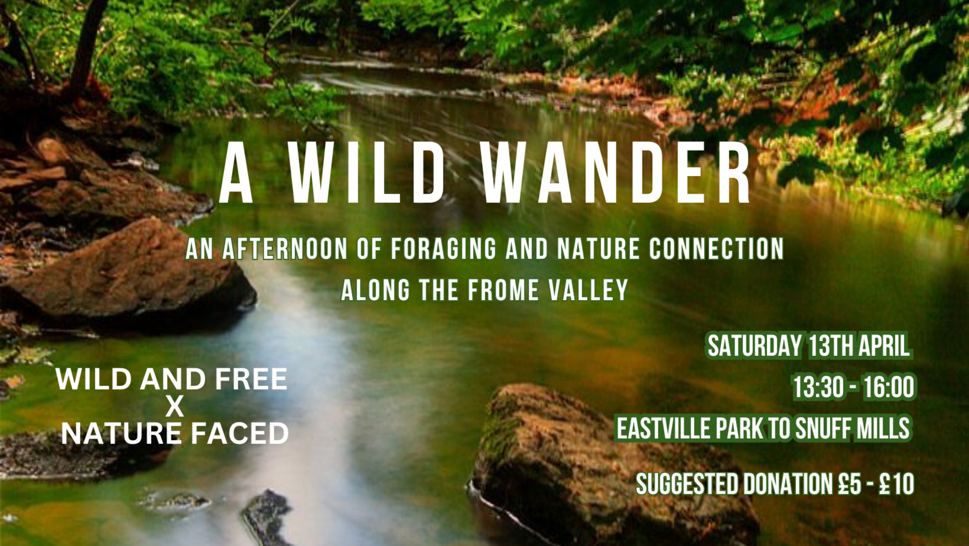 A Wild Wander · Dandelion