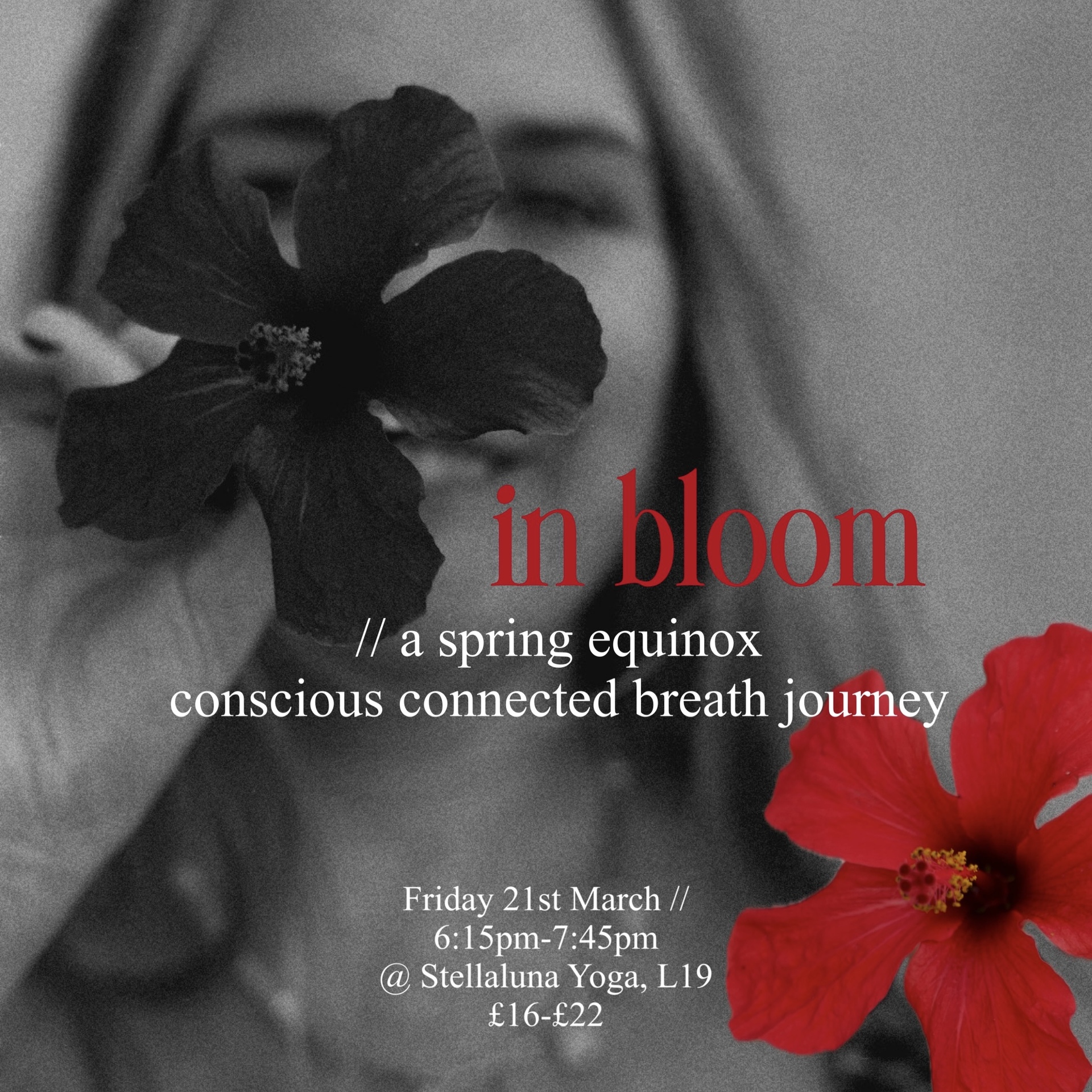 In Bloom: A Spring Equinox Conscious Connected Breath Journey · Dandelion