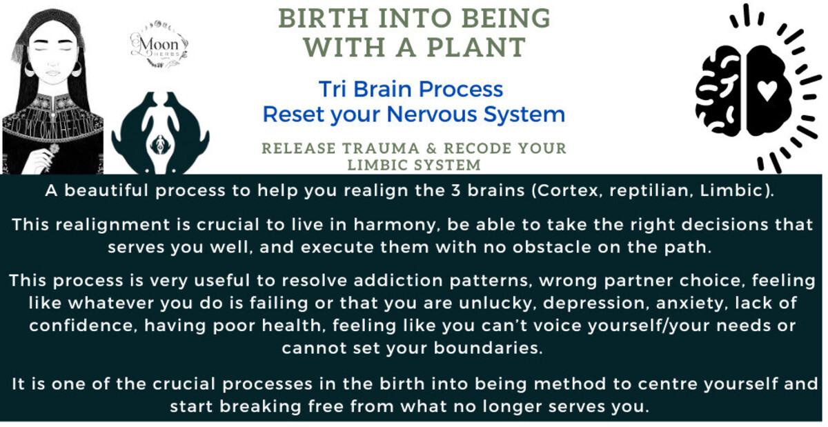 Lev1: Birth Into Being with a plant - Tri Brain · Dandelion