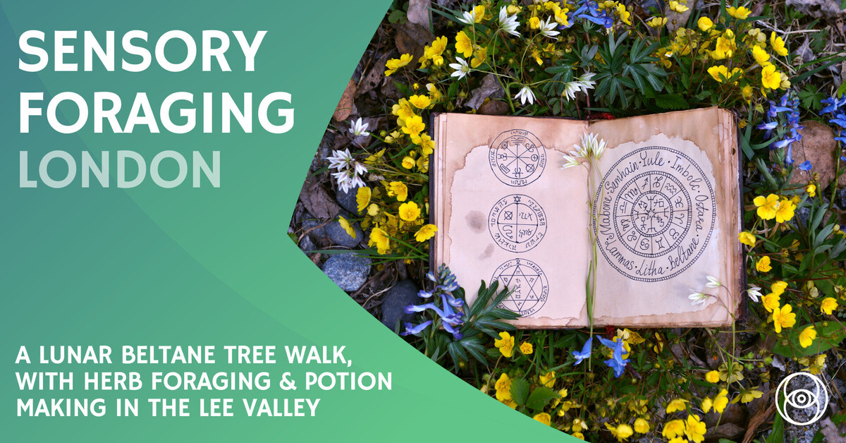 Sensory Foraging - A Lunar Beltane Tree Walk with Herb Foraging ...