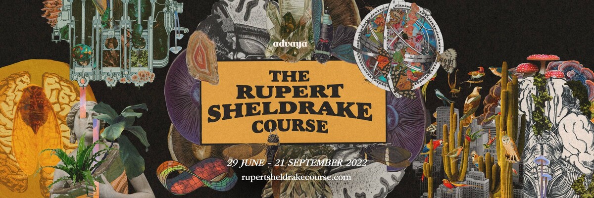 The Rupert Sheldrake Course · Dandelion