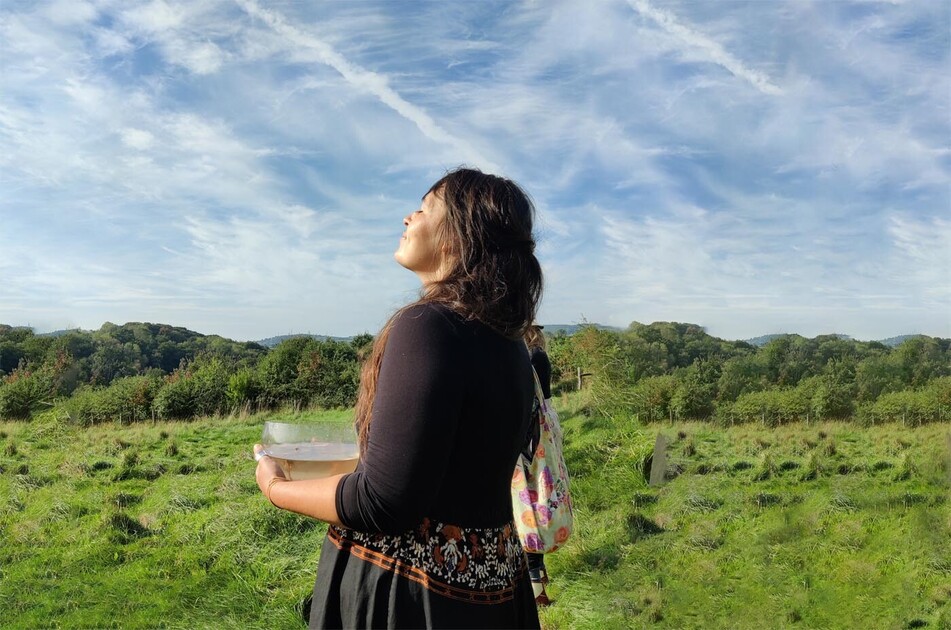 The Journey (July 24) · Dandelion