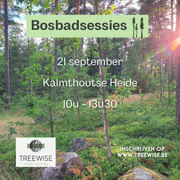 Bosbadsessie (in Dutch) · Dandelion