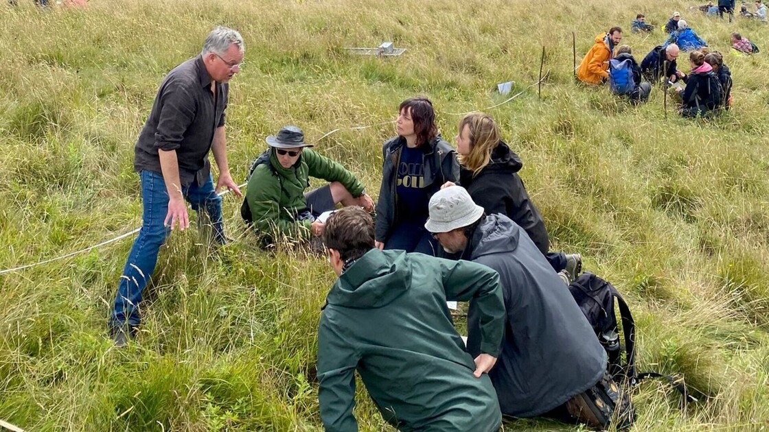 The Rewilding Training 2026 Webinar Registration · Dandelion