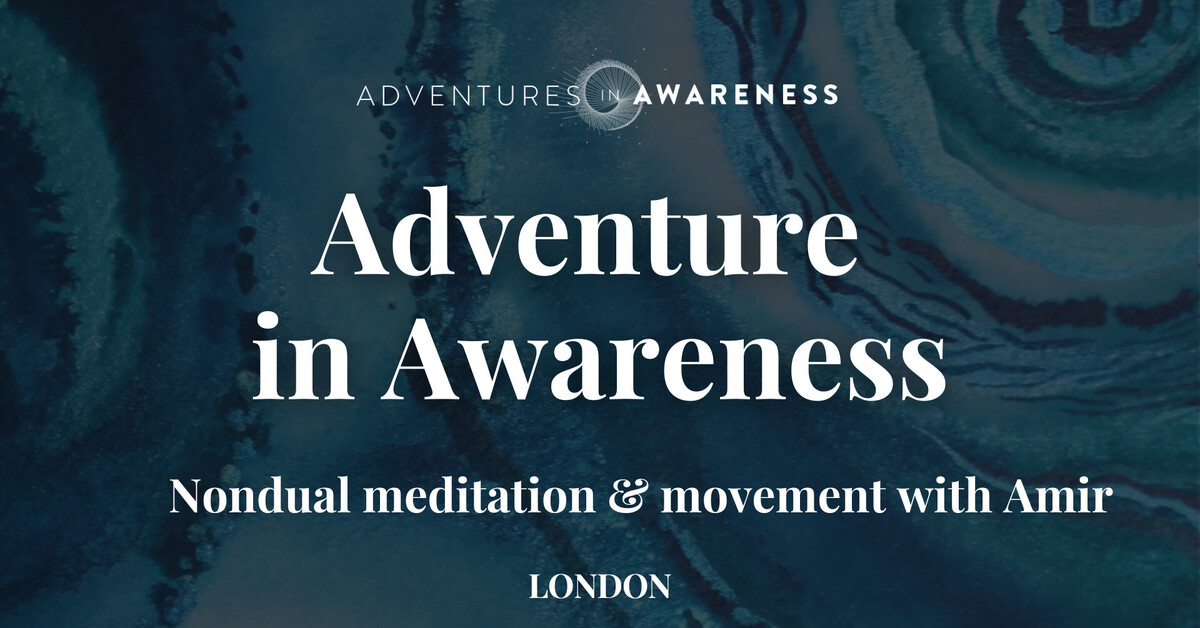Adventure in Awareness - nondual meditation & movement · Dandelion